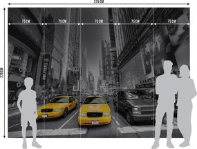 Fototapeta na zed' New York City Taxi | 360 x 254 cm | DFTS1310