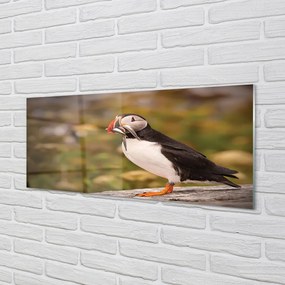 akrylový obraz Papoušek 120x60 cm
