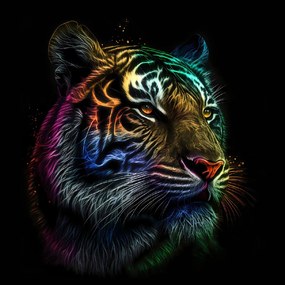 Obraz na plátně - barevný tygr na černém pozadí FeelHappy.cz Velikost obrazu: 40 x 40 cm