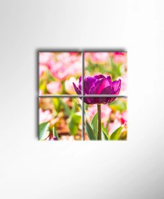 Malvis ® Obraz Pestrý tulipán ROZMĚR (šířka x výška): pětidílné schody obdélník 200x100 cm