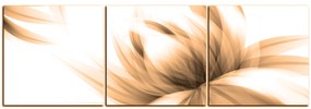 Obraz na plátně - Elegantní květ - panoráma 5147FB (120x40 cm)