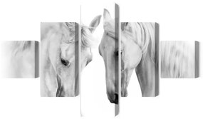 Vícedílný obraz Dva Koně Na Bílém Pozadí Nedostatek Nedostatek Přírodní plátno 200x120