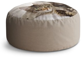 Sablio Taburet Circle Kočička a štěňátko: 40x50 cm