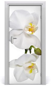 Samolepící fototapeta na dveře Bílá orchidej 75x205 cm