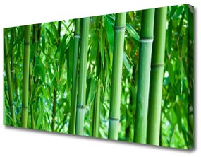 Obraz na plátně Bambus Stonek Rostlina 125x50 cm