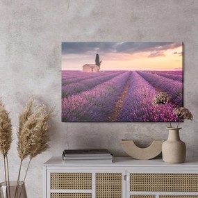 Obraz Kvetoucí Levandulové Pole V Provence Nedostatek Nedostatek Přírodní plátno 90x60