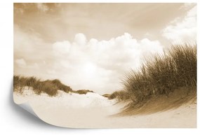 Fototapeta Sandy Days In Sepia Hladký vinyl 300x210