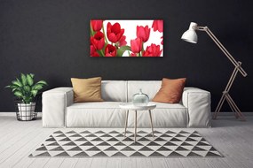 Obraz na plátně Tulipány Květiny Rostlina 120x60 cm