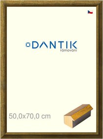 DANTIK rámeček 50x70 | Forgia Gold (Plexi Čiré)