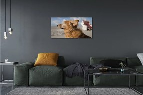Obrazy na plátně Hnědý pes beach 120x60 cm