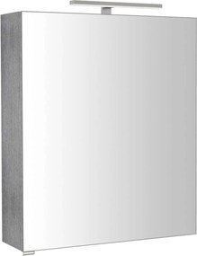 Sapho Riwa - Zrcadlová skříňka s LED osvětlením 60x70x17 cm, dub stříbrný RIW060-0011