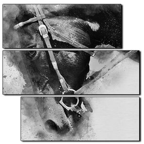 Obraz na plátně - Koňská hlava v abstráktním zobrazení- čtverec 3263QD (105x105 cm)