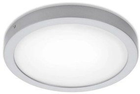 Briloner 7141-414 - LED Stropní svítidlo FIRE LED/21W/230V 4000K