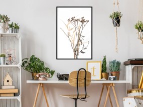 Artgeist Plakát herbář Velikosti (šířkaxvýška): 40x60, Finální vzhled: Zlatý rám s paspartou