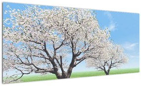 Obraz kvetoucího stromu na jarní louce (100x40cm)