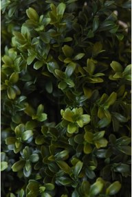 Umělý buxus BUXA, plast, výška 70 cm, zelený