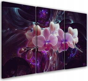 Obraz triptych na plátně, Bílá orchidej na tmavém pozadí 60x40