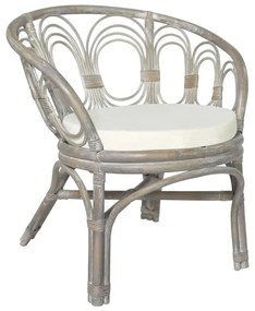 Petromila Jídelní židle s poduškou šedá přírodní ratan a lněné plátno