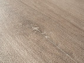 Beaulieu International Group, PVC podlaha - lino Livitex 2601, na míru, šíře 3m,4m, hnědá, filc, chodba / předsíň