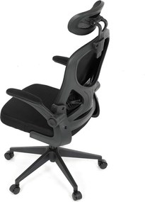 Ergonomická kancelářská židle ALEXANDRE - černá síťovina