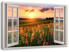 Gario Obraz na plátně Okno - pohled na pole květin Rozměry: 60 x 40 cm