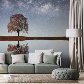 Fototapeta hvězdná obloha nad osamělým stromem - 375x250 cm