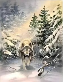 NORIMPEX Malování podle čísel Vlk v lese / 40x50 cm