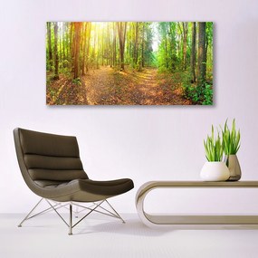 Plexisklo-obraz Slunce Příroda Lesní Stezka 120x60 cm