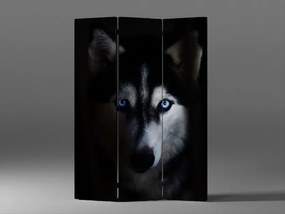 Paraván pes husky Rozměr: 135 x 180 cm
