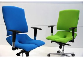 Zdravotní židle Steel Standard+ / bílá