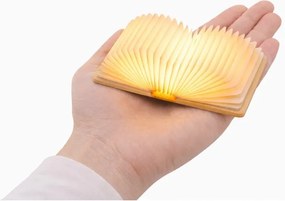 Přenosná světelná dekorace na USB v přírodní barvě BookLight – Gingko