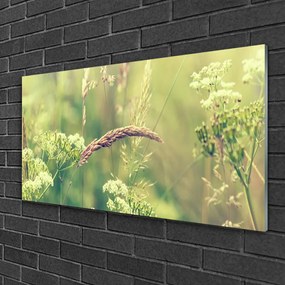 Obraz na skle Divoké Rostliny Příroda 100x50 cm