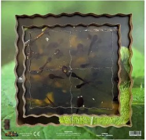 Just Jigsaws 604 Žába a její životní cyklus - dřevěné vrstvené puzzle