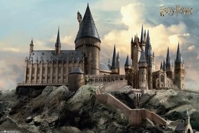 Plakát, Obraz - Harry Potter - Den v Bradavicích, (91.5 x 61 cm)