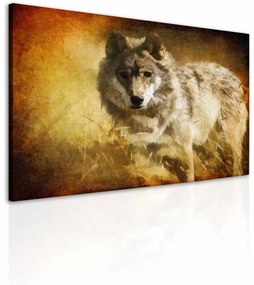 Obraz vlk Velikost (šířka x výška): 100x80 cm