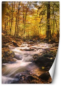 Fototapeta, Vodopád v lese - 100x140 cm