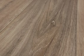 Beauflor, PVC podlaha - lino Toptex Lime Oak 069L - dub, na míru, šíře 4m,5m, béžová, filc, chodba / předsíň
