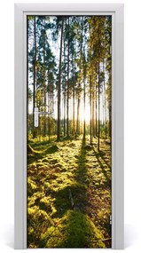 Fototapeta na dveře sosny les 75x205 cm