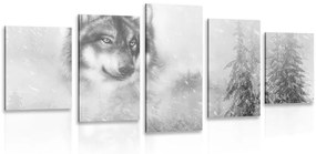 5-dílný obraz vlk v zasněžené krajině v černobílém provedení - 200x100 cm
