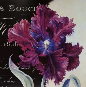 ART-STYLE Obrázek 18x18, divoký tulipán, rám bílý s patinou