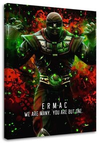Gario Obraz na plátně Hra Mortal Kombat Ermac - SyanArt Rozměry: 40 x 60 cm