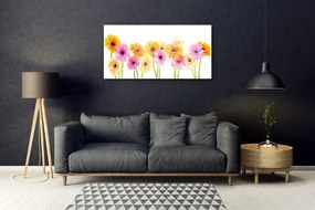 akrylový obraz Barevné Květiny Gerbery 100x50 cm