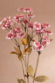 Paramit DRY DIANTHUS Aranžovací květina růžová 65 cm