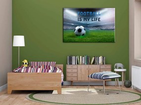 Obraz fotbal je můj život Velikost (šířka x výška): 120x80 cm