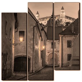 Obraz na plátně - Bratislava staré město s hradem vzadu- čtverec 3265FD (75x75 cm)