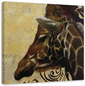 Obraz na plátně Zebra Zvířata Příroda - 50x50 cm