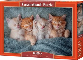Castorland puzzle sladká koťata 1000 dílků