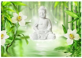 Fototapeta - Buddha and nature