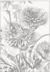 Tapeta Engraved Flowers