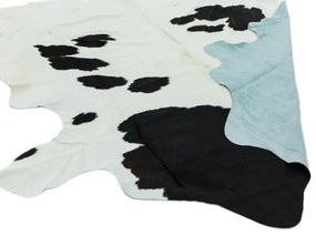 Černý  koberec Banshee Black Rozměry: 180x240 cm